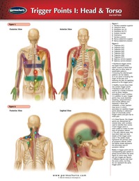 Trigger Points I: Head & Torso Chart - Acupunture - Medicine Quick ...
