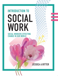 Introduction to Social Work 1st edition | 9781793567222, 837611A ...