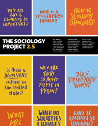 The Sociology Project 2.5: Introducing the Sociological Imagination 2nd ...