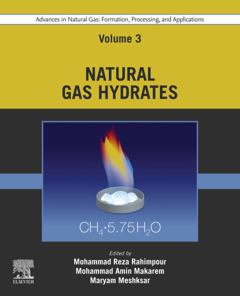 Advances in Natural Gas: Formation, Processing, and Applications ...