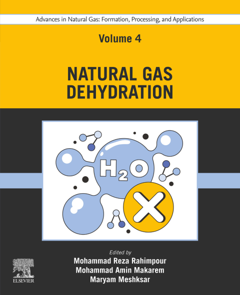 Advances in Natural Gas: Formation, Processing, and Applications ...
