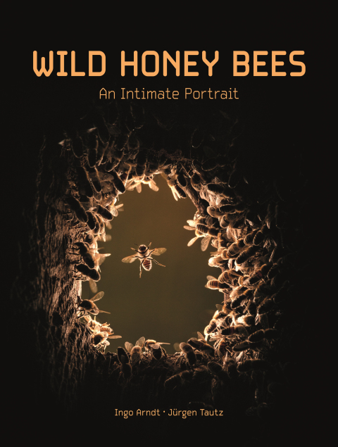 Wild Honey Bees | Bulldog Depot