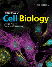 Principles of Cell Biology 3rd edition | 9781284149845, 9781284210521 ...