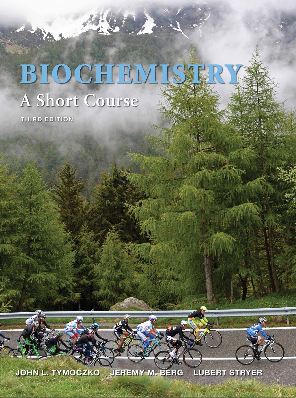 ISBN 9781319042172 - Biochemistry: A Short Course (eBook Rental ...