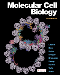 Molecular Cell Biology 9th edition | 9781319208523, 9781319365028 ...