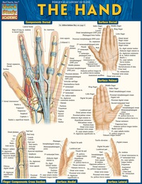 QUICKSTUDY-THE HAND 1st edition | 9781423220473, 9781423220473 ...