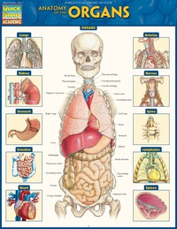 Anatomy of the Organs 1st edition | 9781423234630, 9781423234845 ...