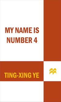 My Name Is Number 4 | 9780312379872, 9781429989725 | VitalSource