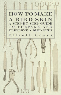 How to Make a Bird Skin - A Step by Step Guide to Prepare and Preserve ...