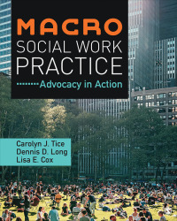 Macro Social Work Practice 1st edition | 9781506388410, 9781506388403 ...