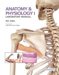 Anatomy & Physiology I Laboratory Manual BSC 2085L - Indian River State ...