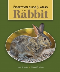 A Dissection Guide & Atlas to the Rabbit 1st edition | 9781617319372 ...
