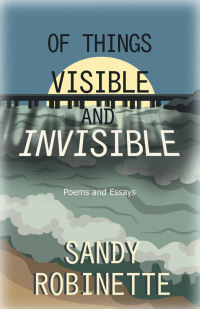 Of Things Visible and Invisible | 9781664203587, 9781664203594 ...