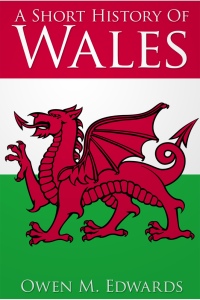 A Short History of Wales 2nd edition | 9781781663882, 9781781663875 ...