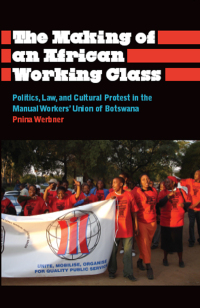 The Making of an African Working Class 1st edition | 9780745334950 ...