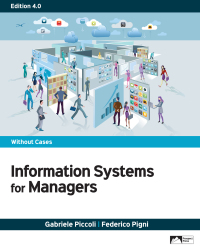 Information Systems for Managers: Without Cases 4th edition ...